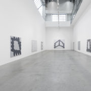 Installation Views | Amy Feldman